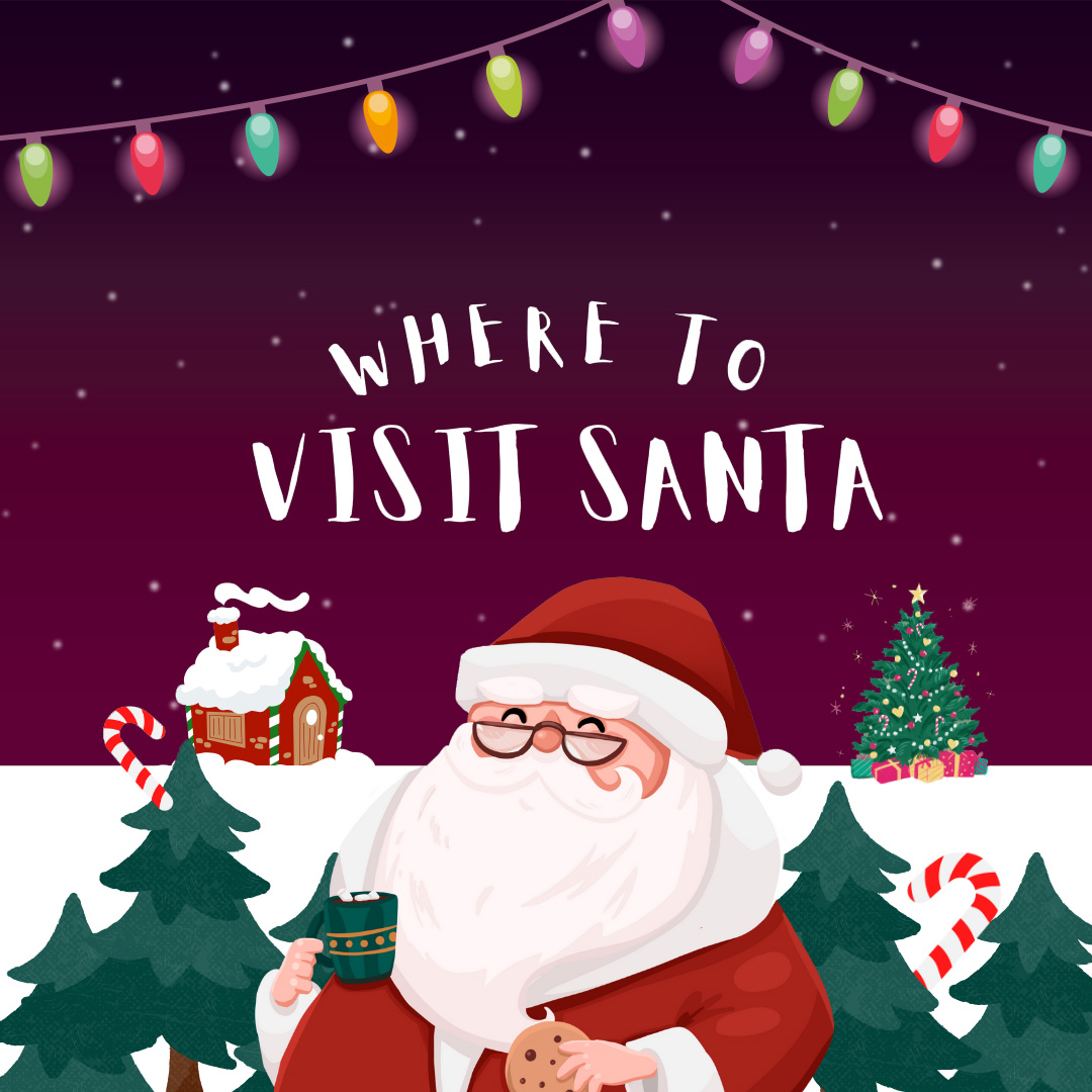 timetable - skylink express - run by trentbarton